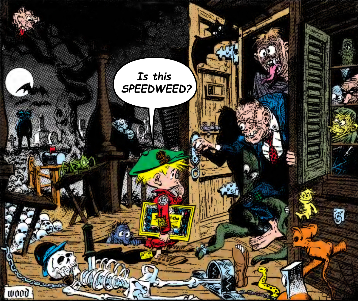 SpeedWeed – Weed Delivery in Toronto